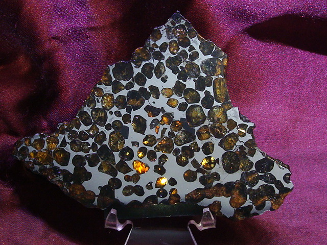 KDM Collection Conception Junction Pallasite Meteorite 62.9gms