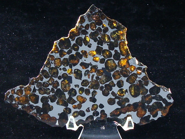 CConception Junction Pallasite Meteorite 62.9gms