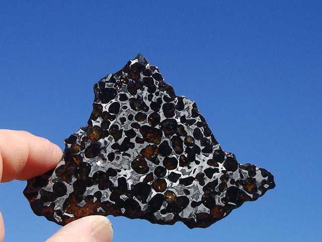 CConception Junction Pallasite Meteorite 62.9gms