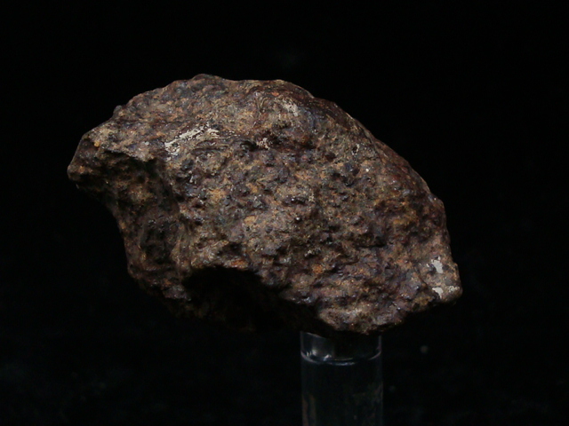 FranconiaMeteoriteSlice56.3gms