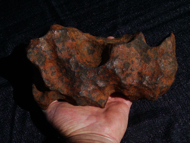GibeonMeteorite6580gms(DR)