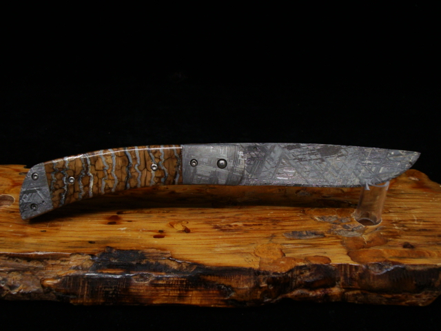 BRMeteoriteMuonionalustaSodbusterWithFossilizedMammothTooth