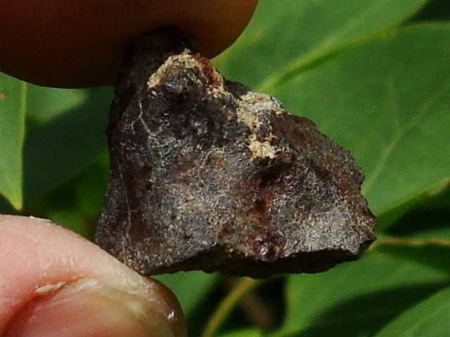 MohaveMountainsMeteorite4.97gms