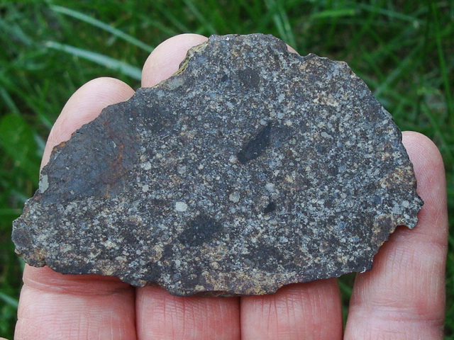 NWA869MeteoriteSlice55.8gms