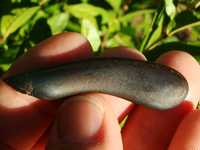 KDMCollectionSikhoteAlinMeteorite29.4gms