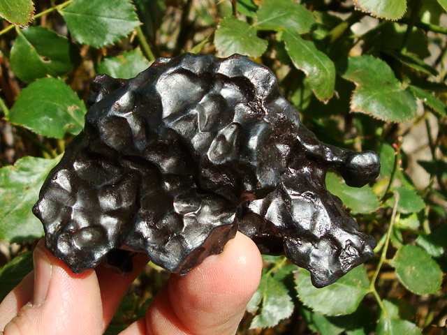 Sikhote-Alin Meteorite 444gms