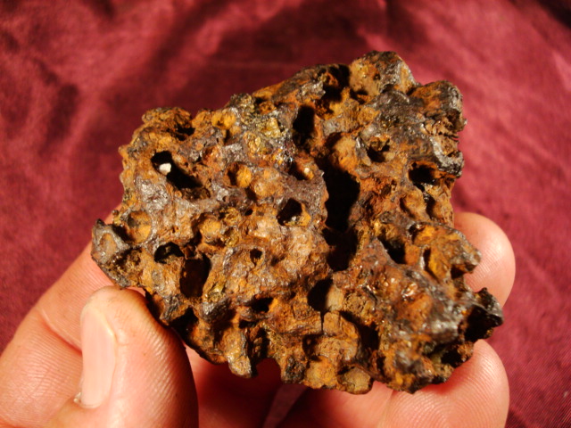 SpringwaterPallasiteMeteoriteIndividua171.7gms