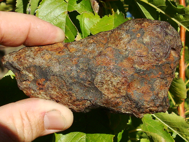 Winner Meteorite End Cut 230gms